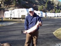 Canyon Pines Gallery - Canyon Pines RV